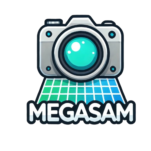 MegaSaM